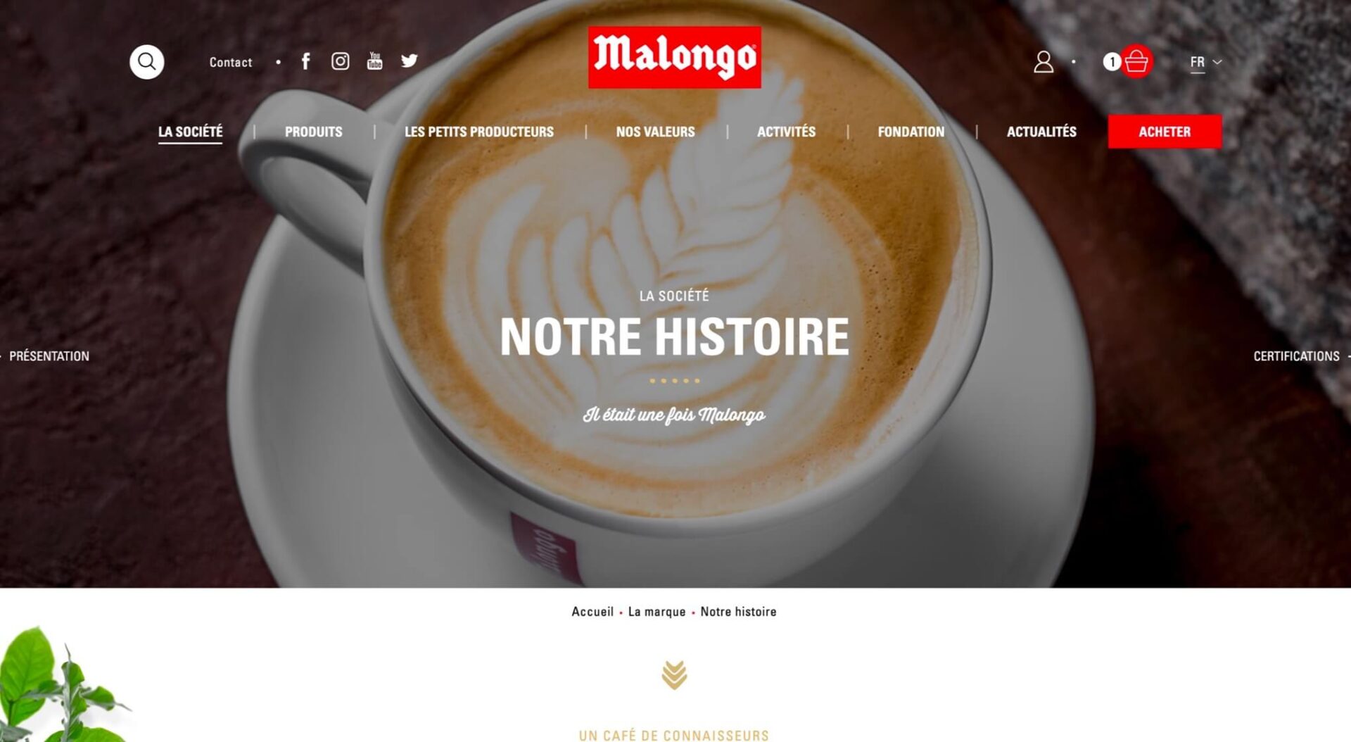 Refonte Prestashop du site Malongo - DATASOLUTION